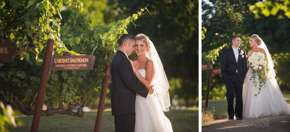 Wedding at Wine & Roses | Lodi Wedding Photographer