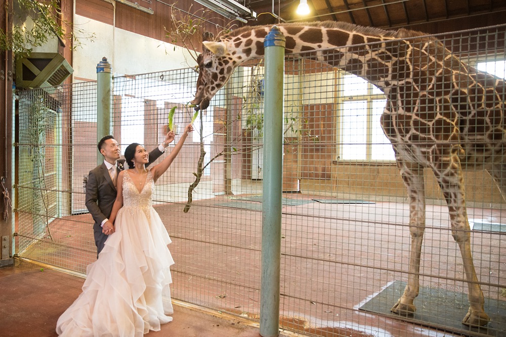 Grace and Lawrence | Wedding at the San Francisco Zoo